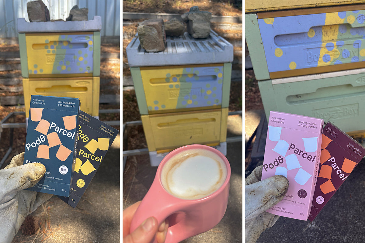 How Beekeeping Sweetens the Planet and Our Coffee – Pod & Parcel US